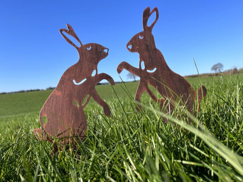 hares