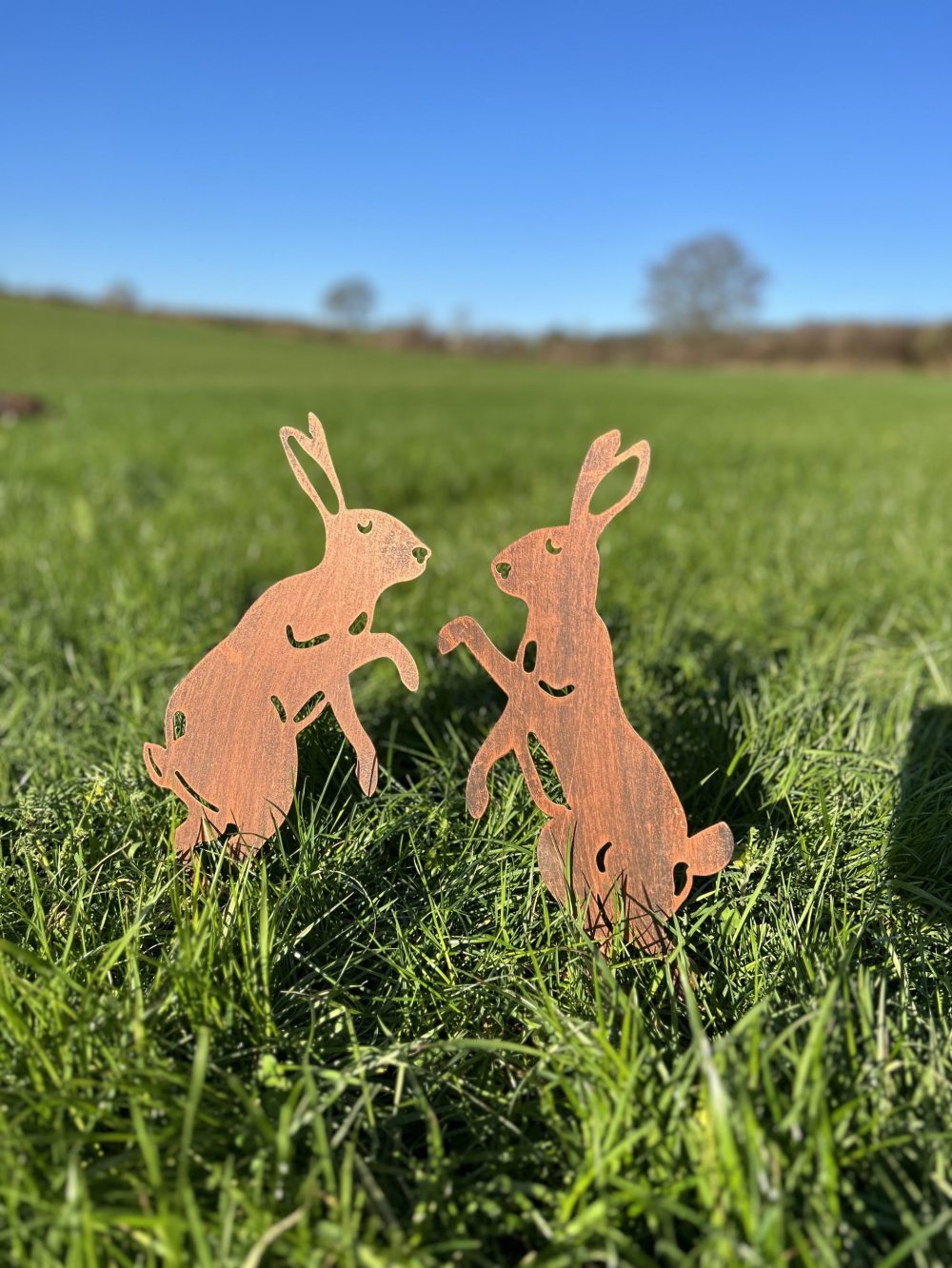 hares