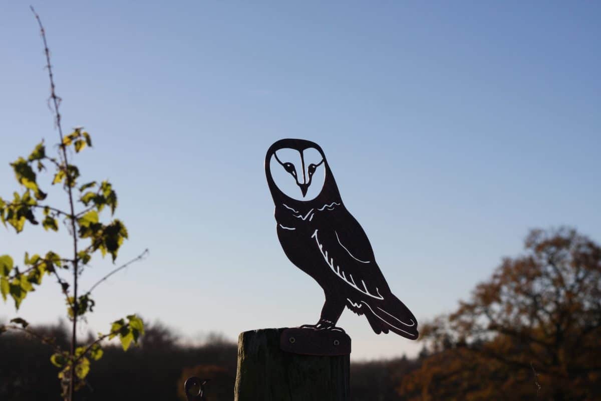 Barn Owl Fence Topper - Ornamental Classics