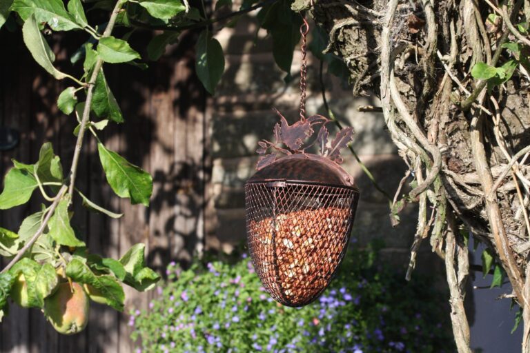 Acorn Wren Bird Feeder - Ornamental Classics