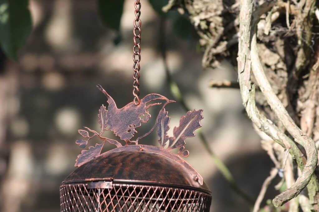 Acorn Wren Bird Feeder - Ornamental Classics