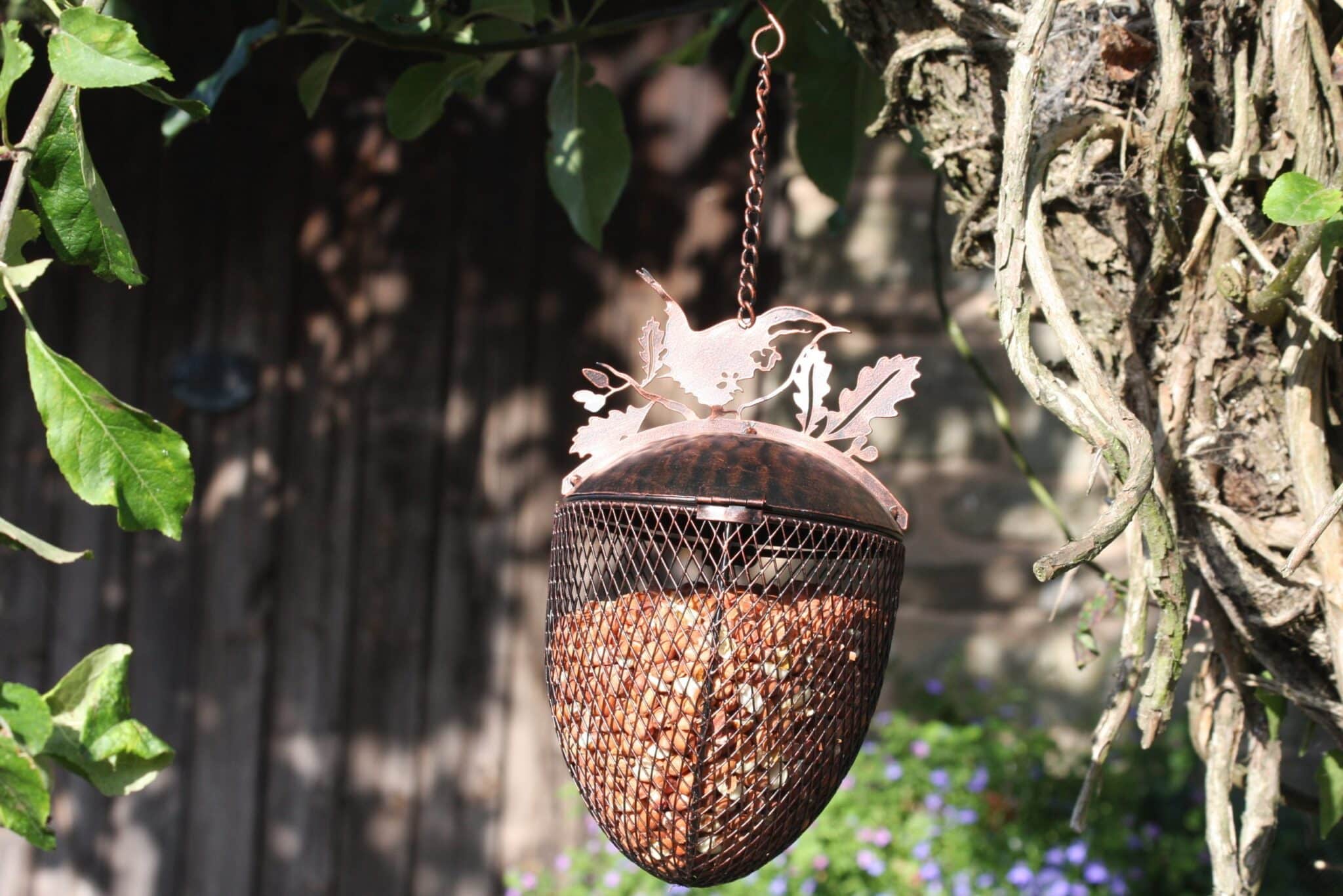 Acorn Wren Bird Feeder - Ornamental Classics