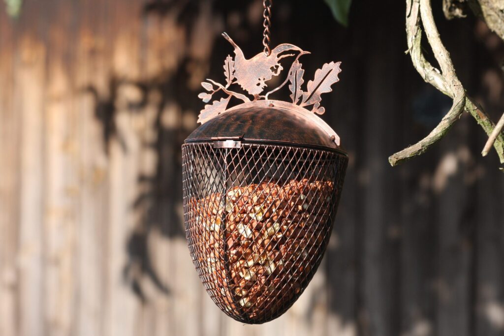 Acorn Wren Bird Feeder – Ornamental CLASSICS