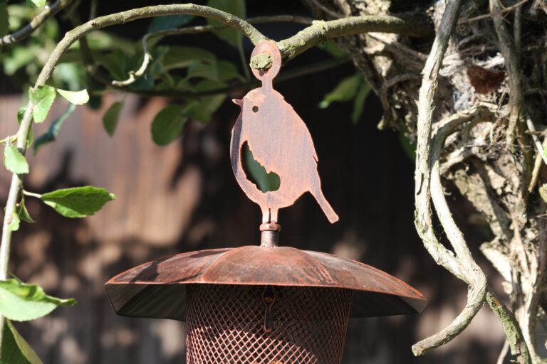 Robin Bird Feeder with tray and hood - Ornamental Classics